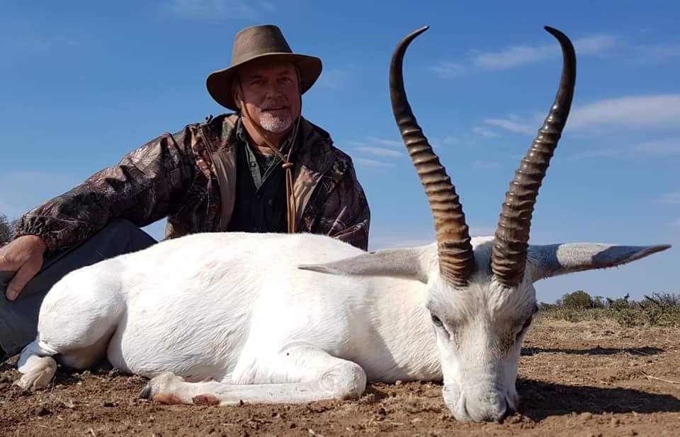 Mega Springbuck - Hunting, Breeding, Culling South Africa