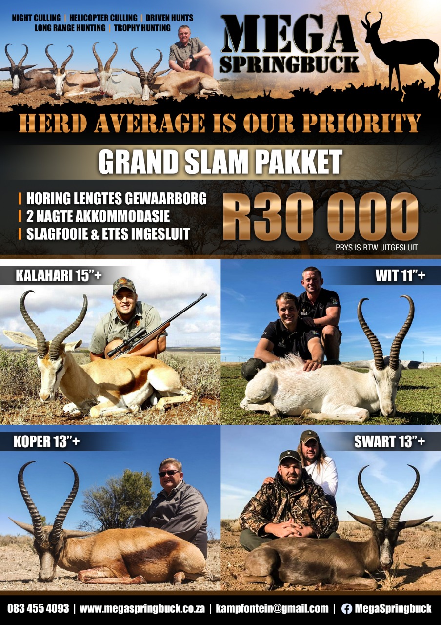Mega Springbuck - Throphy Hunting / Biltong Hunting