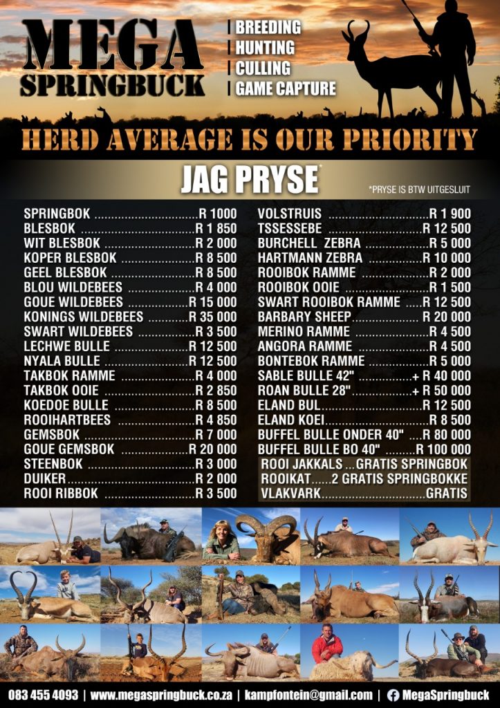 Mega Springbuck - Throphy Hunting / Biltong Hunting