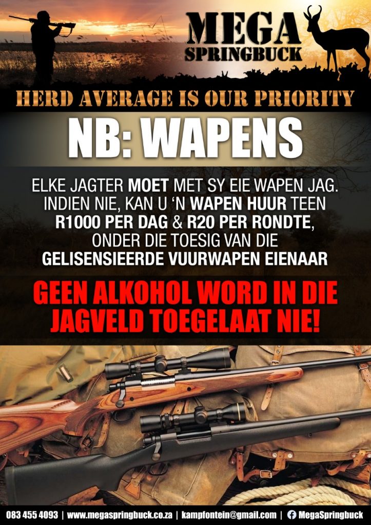 Mega Springbuck - Throphy Hunting / Biltong Hunting