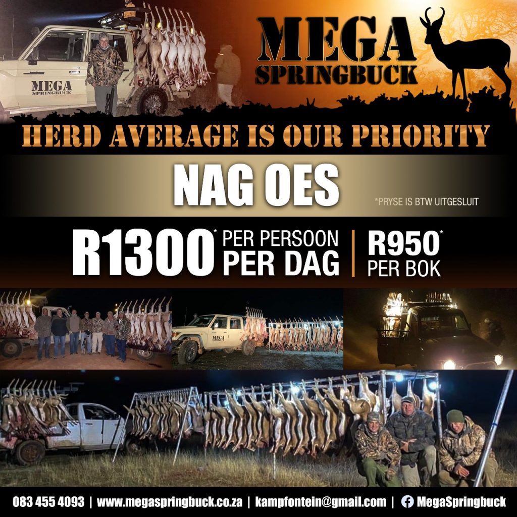 Mega Springbuck - Throphy Hunting / Biltong Hunting