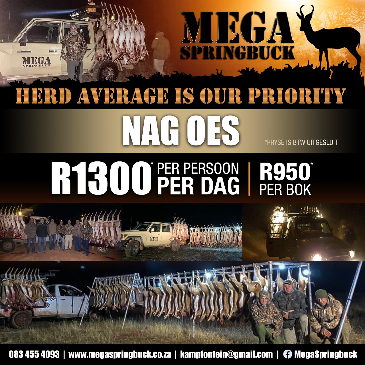 Mega Springbuck - Throphy Hunting / Biltong Hunting