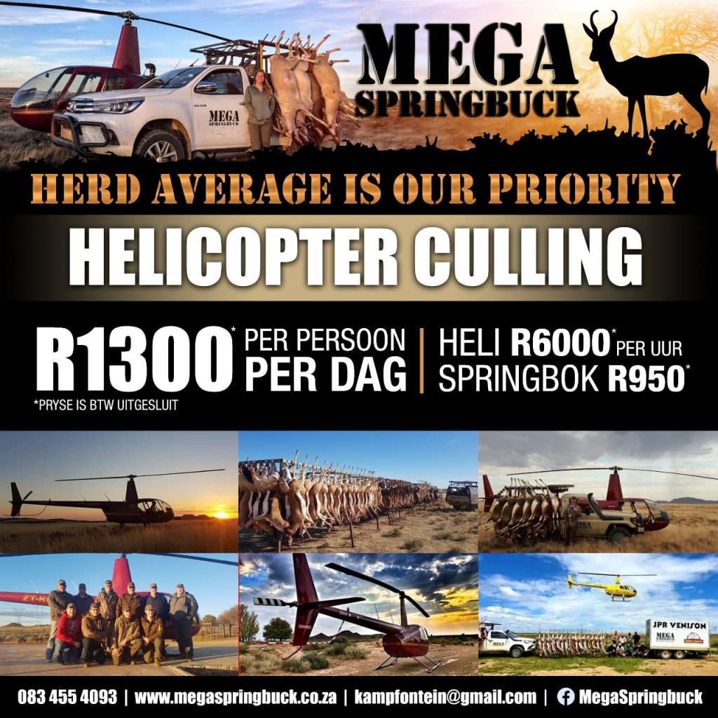 Mega Springbuck - Throphy Hunting / Biltong Hunting