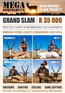 Mega Springbuck - Throphy Hunting / Biltong Hunting