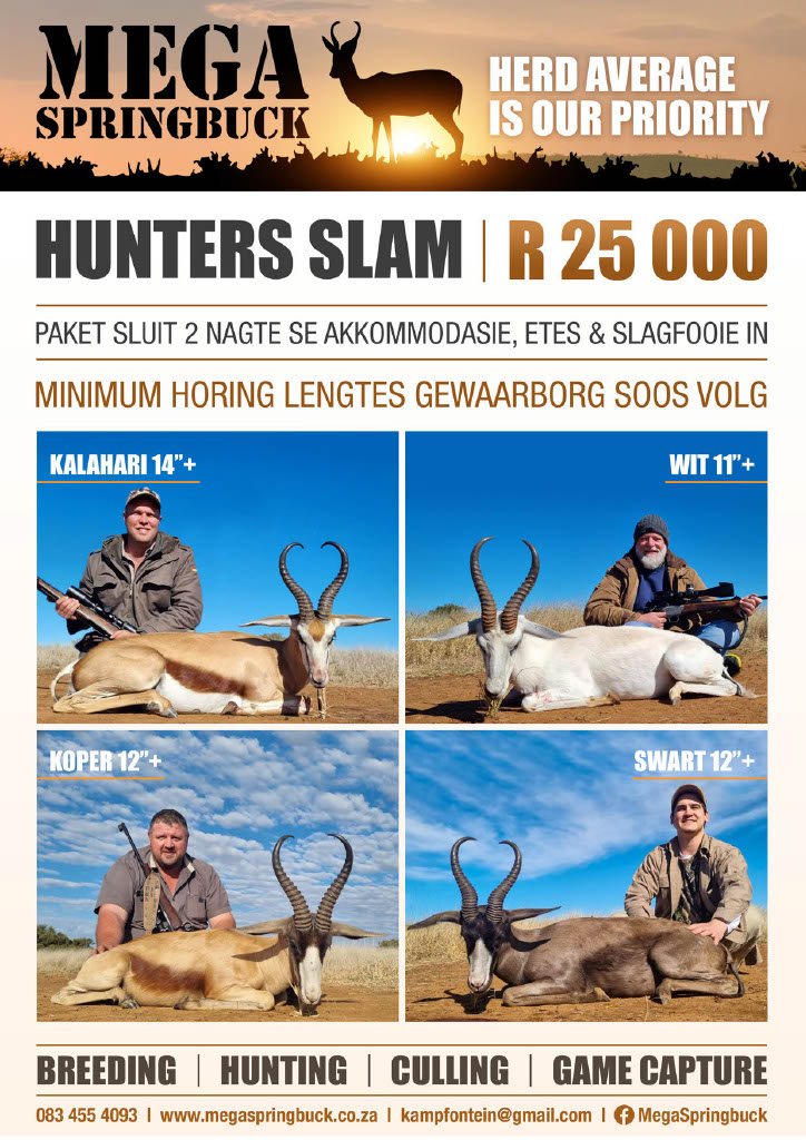 Mega Springbuck - Throphy Hunting / Biltong Hunting